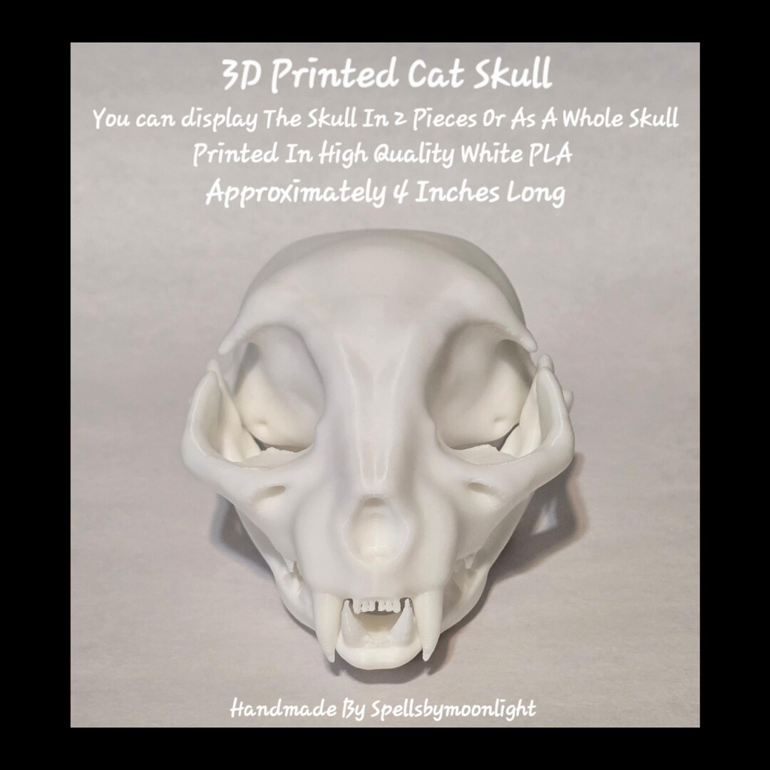 3D Printed Cat Skull Replica Cat Skull Curiosity Cabinet Oddity Goth ...