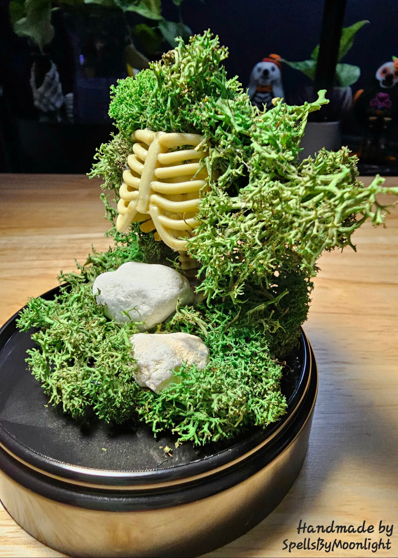 Skeleton Dome Art fake Skeleton - Etsy