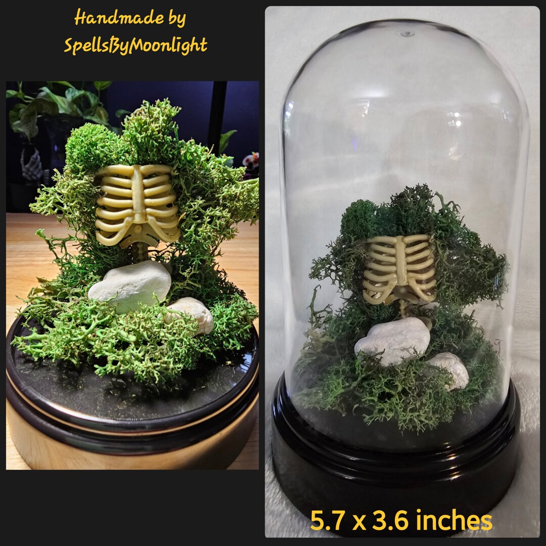 Skeleton Dome Art fake Skeleton - Etsy