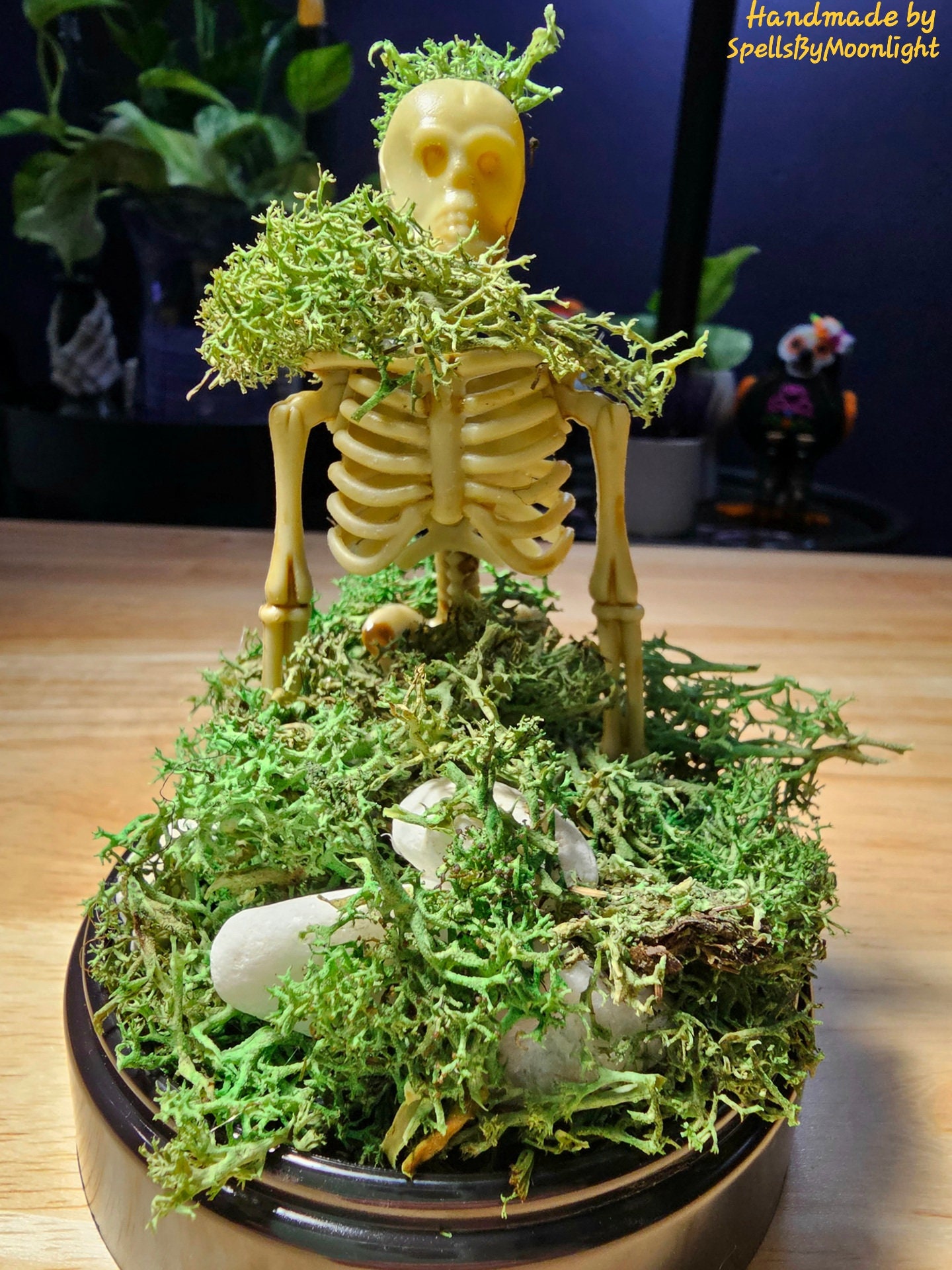 Skeleton Dome Art fake Skeleton - Etsy