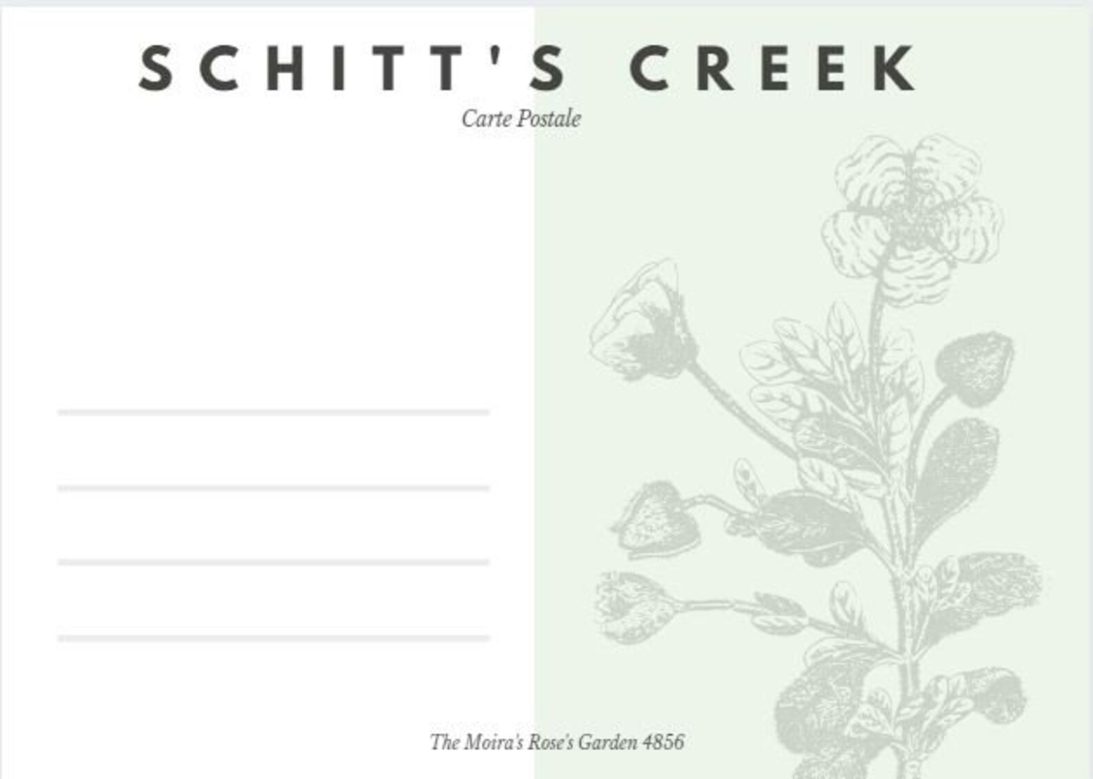 Set of 4 - Schitty Postcards - Etsy
