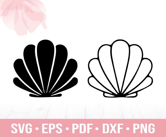 Seashell Svg Sea Shell Cricut Cut File Silhouette Descarga | Etsy España