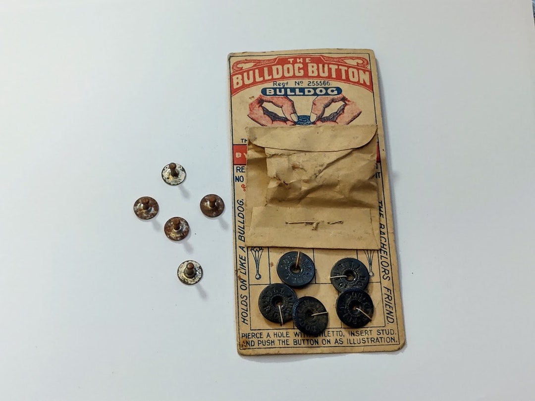 Very RARE Vintage Bulldog metal, 2 part push no-sew buttons 1930s ...