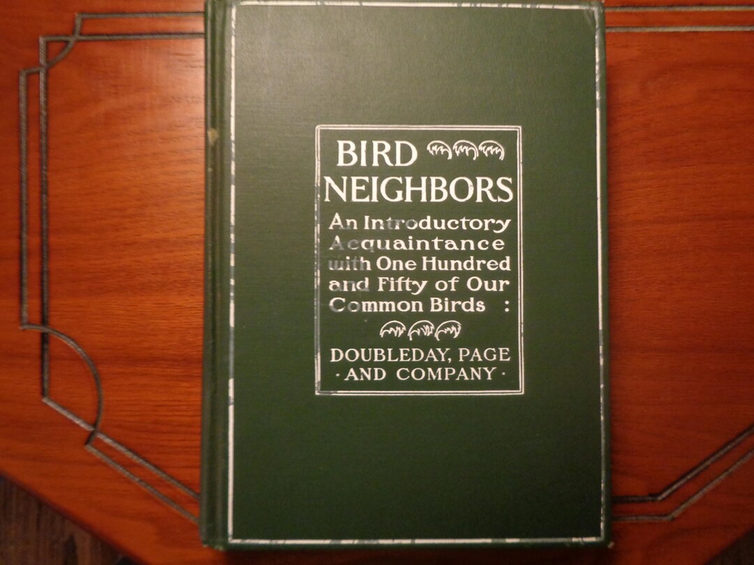 Bird Book Many Color Illustrations Bird Neighbors Vintage 1916 Many ...