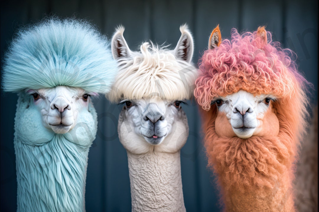 Diamond Painting 40x30cm Bunte Alpakas Bunte Lamas Süße Tiere ...