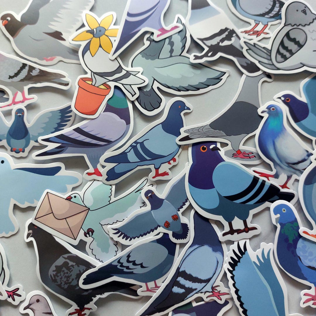 Funny Pigeon Sticker Set (50x) Cartoon Bird Stickers Meme Dove Sticker ...
