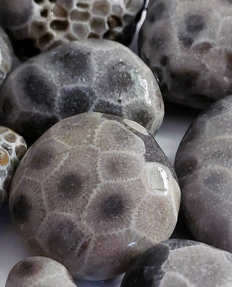 10 Petoskey Puddingstone Platter, Fruit Bowl, Stones, Michigan Made,one ...