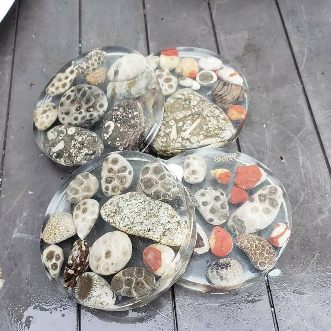 Michigan Petoskey Stone Puddingstone Lake Huron Rocks Coaster - Etsy