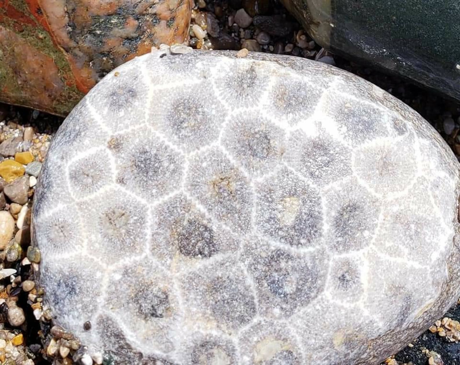 10 Petoskey Puddingstone Platter, Fruit Bowl, Stones, Michigan Made,one ...