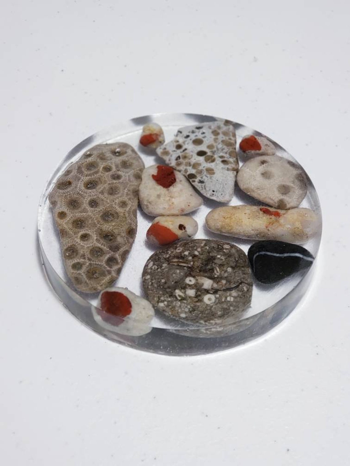 Michigan Petoskey Stone Puddingstone Lake Huron Rocks Stone | Etsy