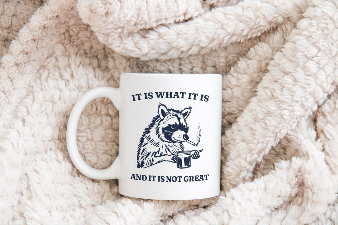 It is What It is and It is Not Great Mug, Raccoon Meme Mug, Funny ...