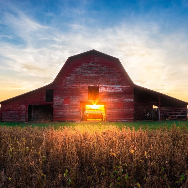 Barn Photography - Etsy