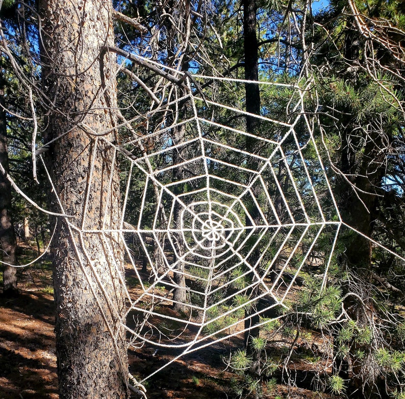 The Librarian's Web **crochet Pattern Only** - Etsy