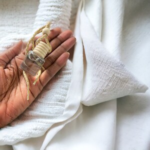 Car Reed Diffusers, Car Diffusers, Car Air Fresheners, Scented Car Air ...