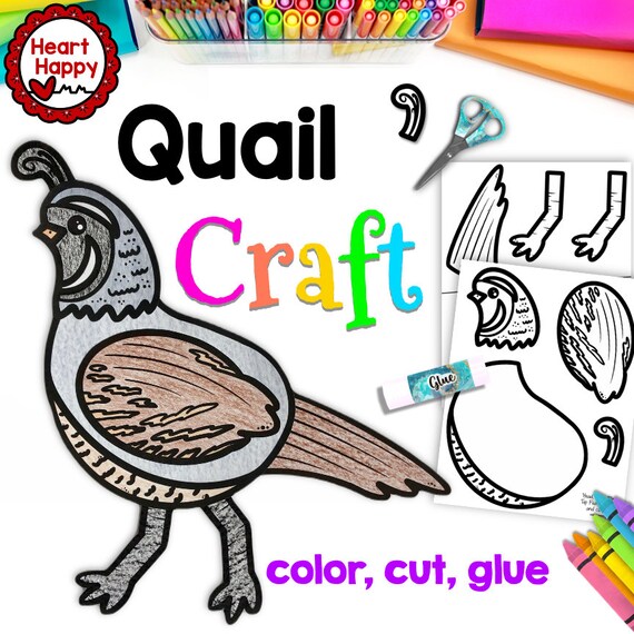 Quail Drawing For Kids