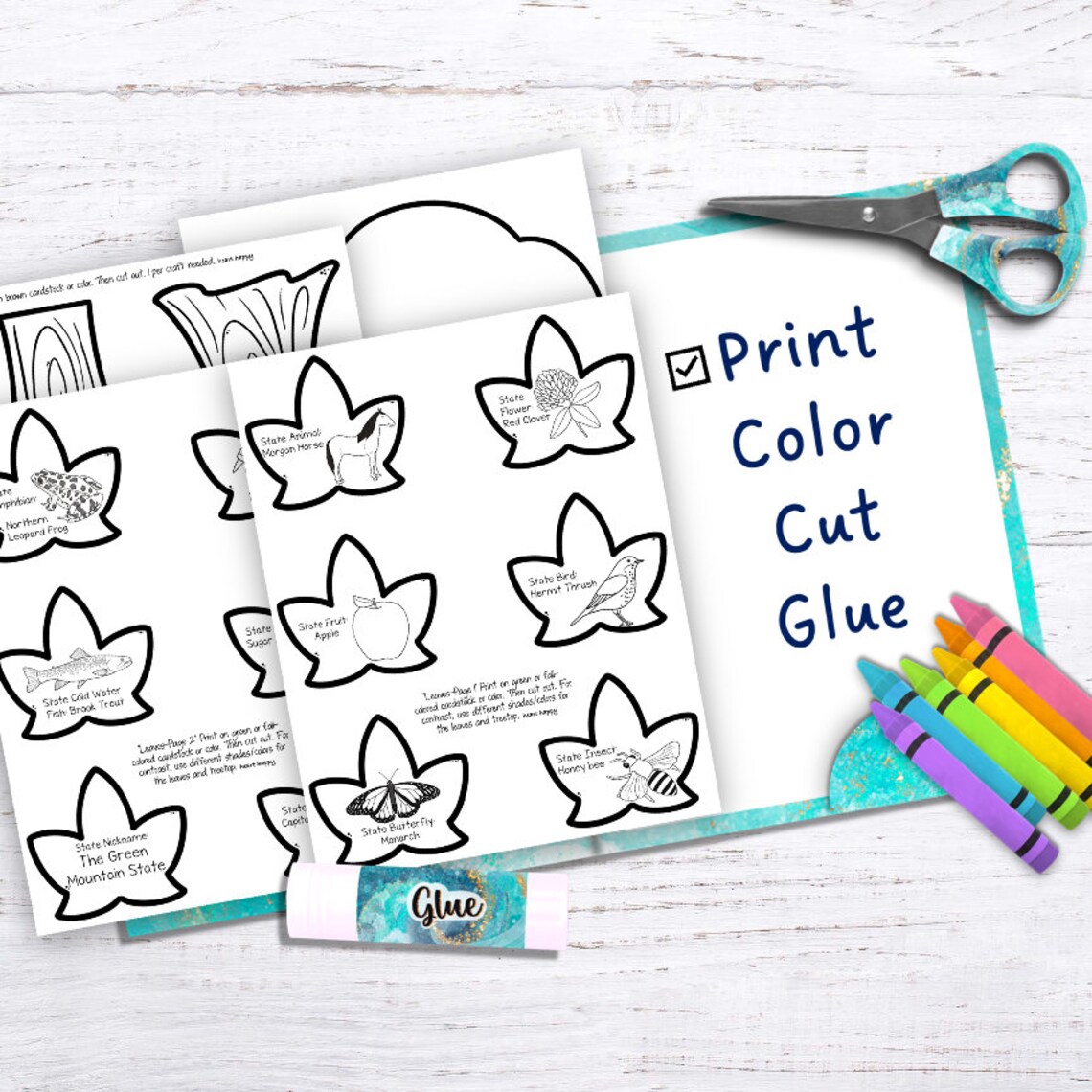 Vermont State Symbols, Sugar Maple Tree, Kids Printable Craft Template ...