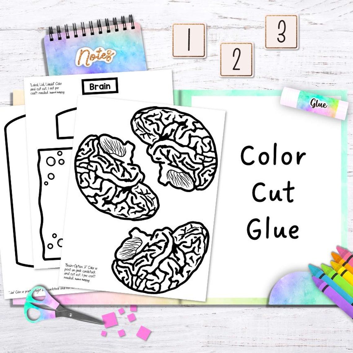 Halloween Brain Kids Printable Craft Template, Human Anatomy, Fall ...