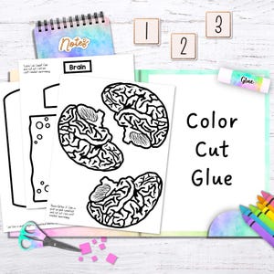 Halloween Brain Kids Printable Craft Template, Human Anatomy, Fall ...