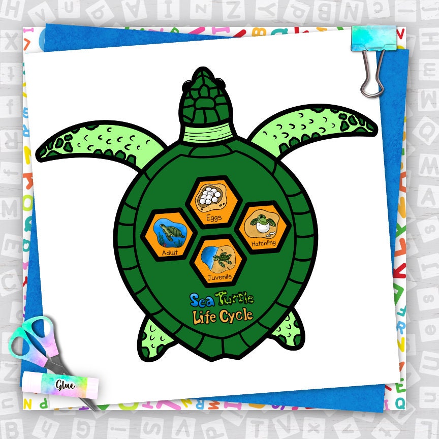 Sea Turtle Life Cycle Craft, Kids Printable Craft Template, Summer ...