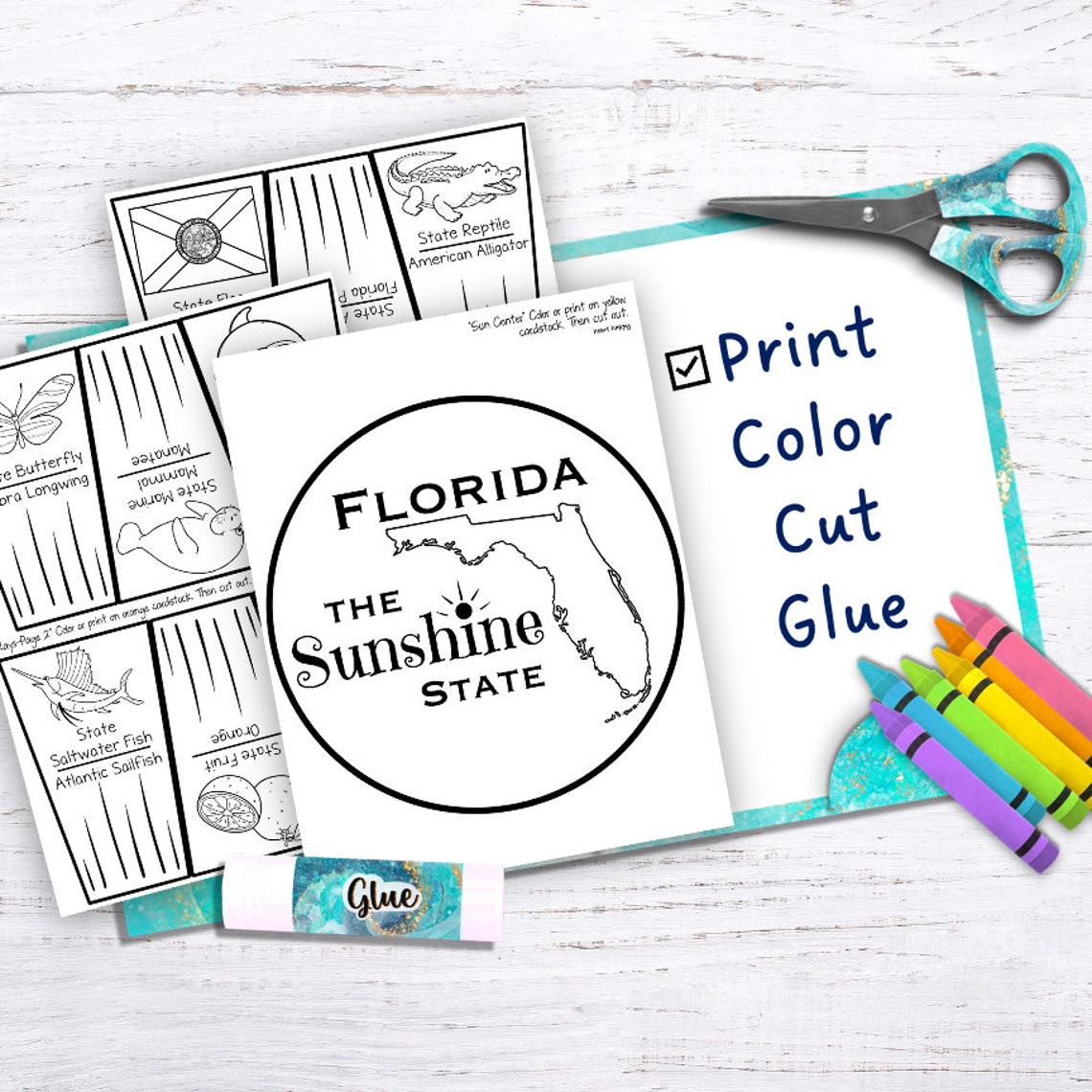 Florida State Symbols, Kids Printable Craft Template, Sunshine State ...