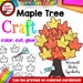 Vermont State Symbols, Sugar Maple Tree, Kids Printable Craft Template ...