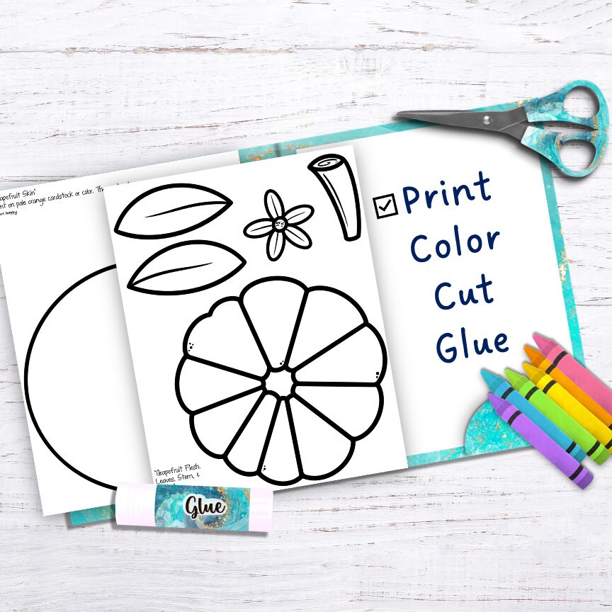 Grapefruit Craft Kids Printable Craft Template Fruit Craft - Etsy