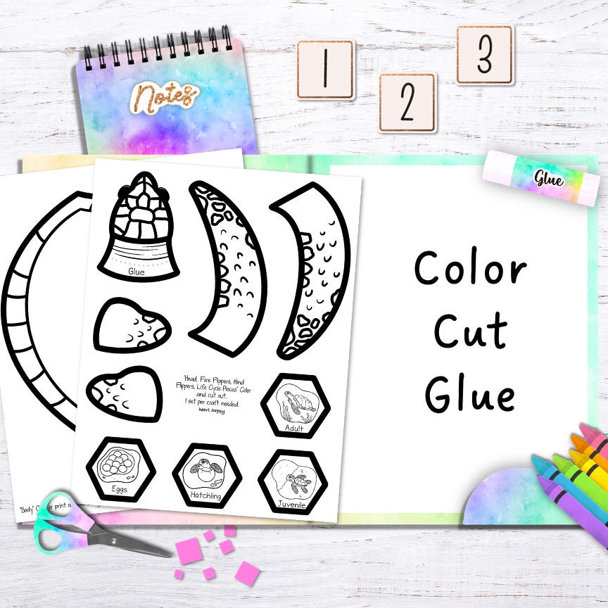 Sea Turtle Life Cycle Craft, Kids Printable Craft Template, Summer ...