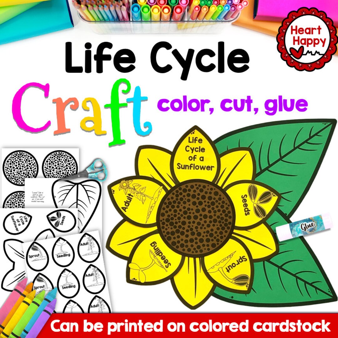 Sunflower Life Cycle Craft, Kids Printable Craft Template, Fall Craft ...