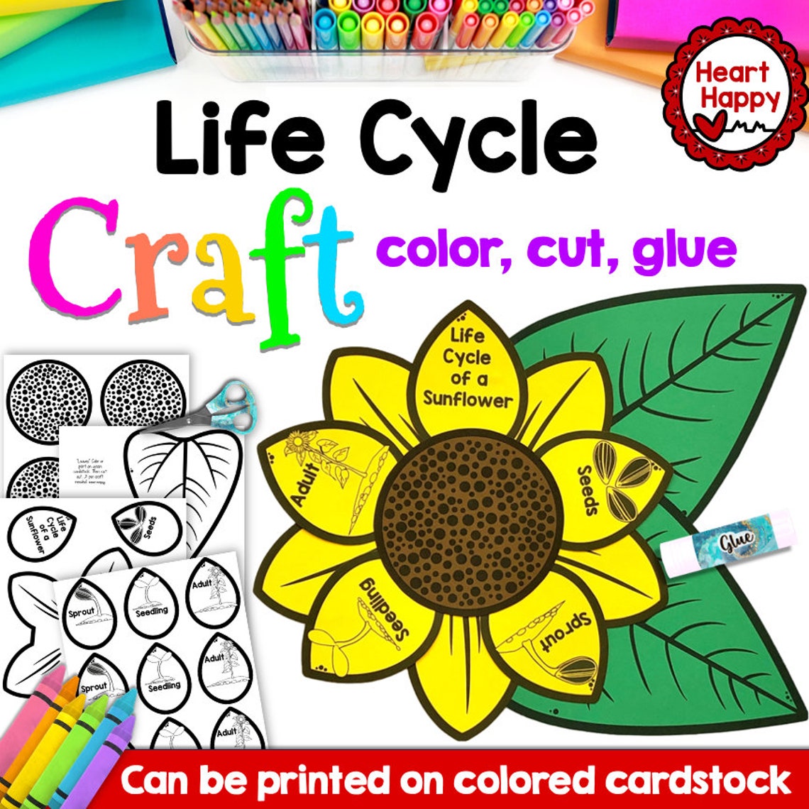 Sunflower Life Cycle Craft, Kids Printable Craft Template, Fall Craft ...