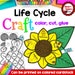 Sunflower Life Cycle Craft, Kids Printable Craft Template, Fall Craft ...