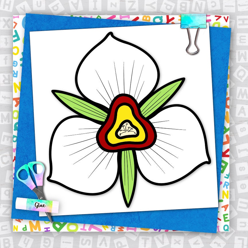 Sego Lily Flower Craft, Kids Printable Craft Template, Spring, Utah ...