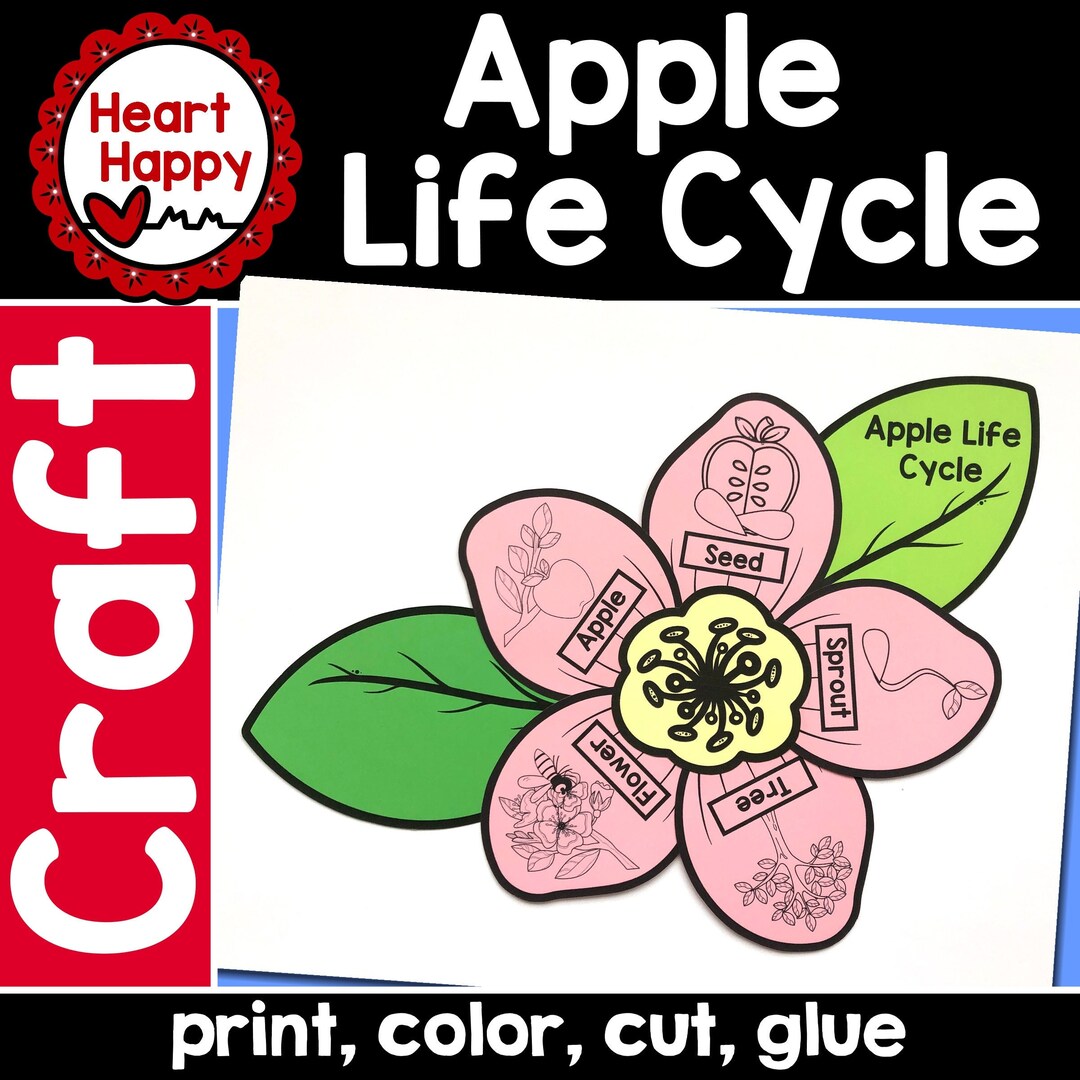 Apple Life Cycle Craft Kids Printable Craft Template Fall - Etsy