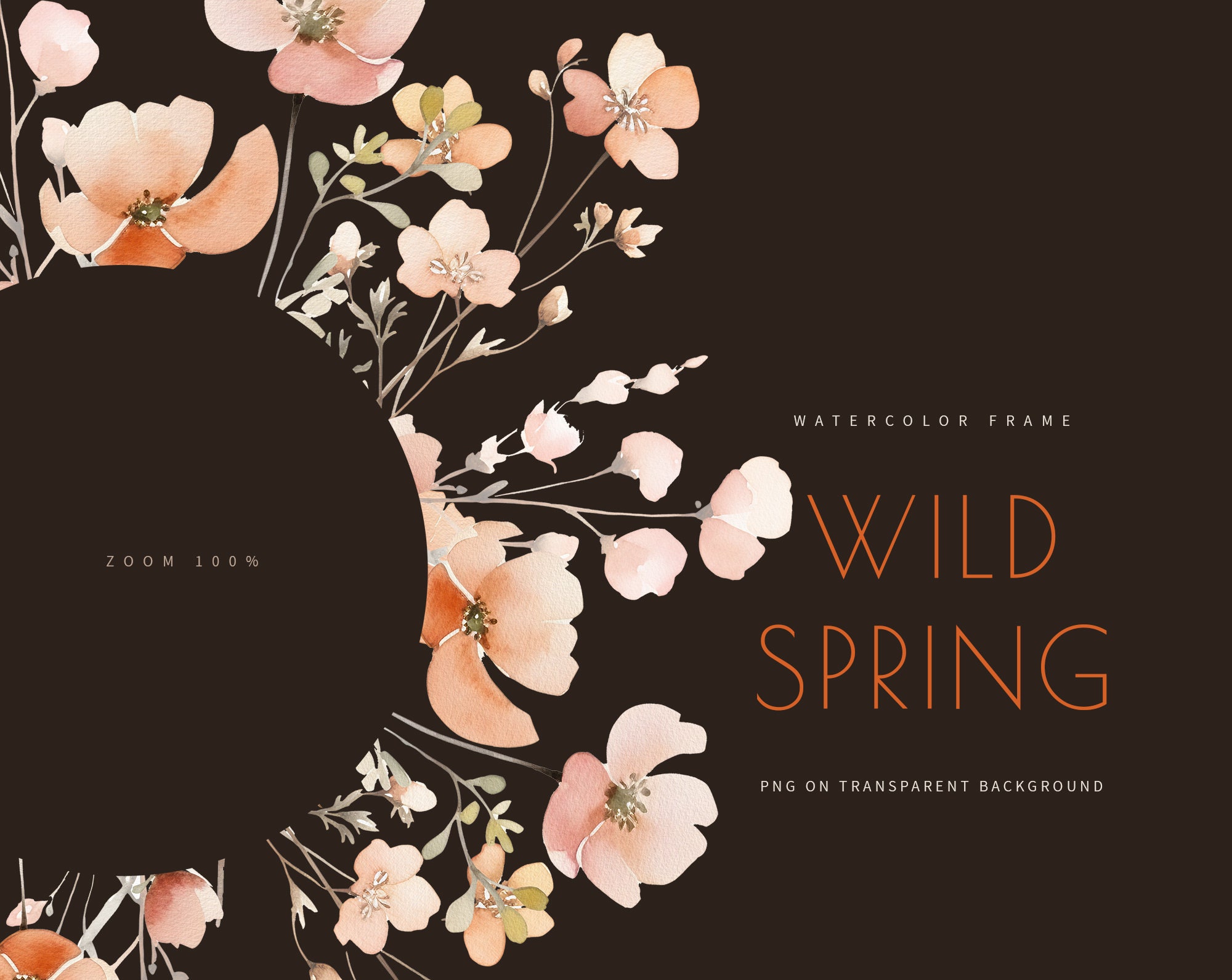 Watercolor Spring Wild Flowers Frame, Meadow Red Flowers Png, Rustic ...