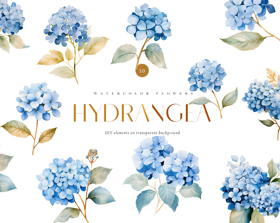 Watercolor Blue Hydrangea DIY Png Clipart, Navy Hydrangea Bouquet Png, Wedding Invitation ...