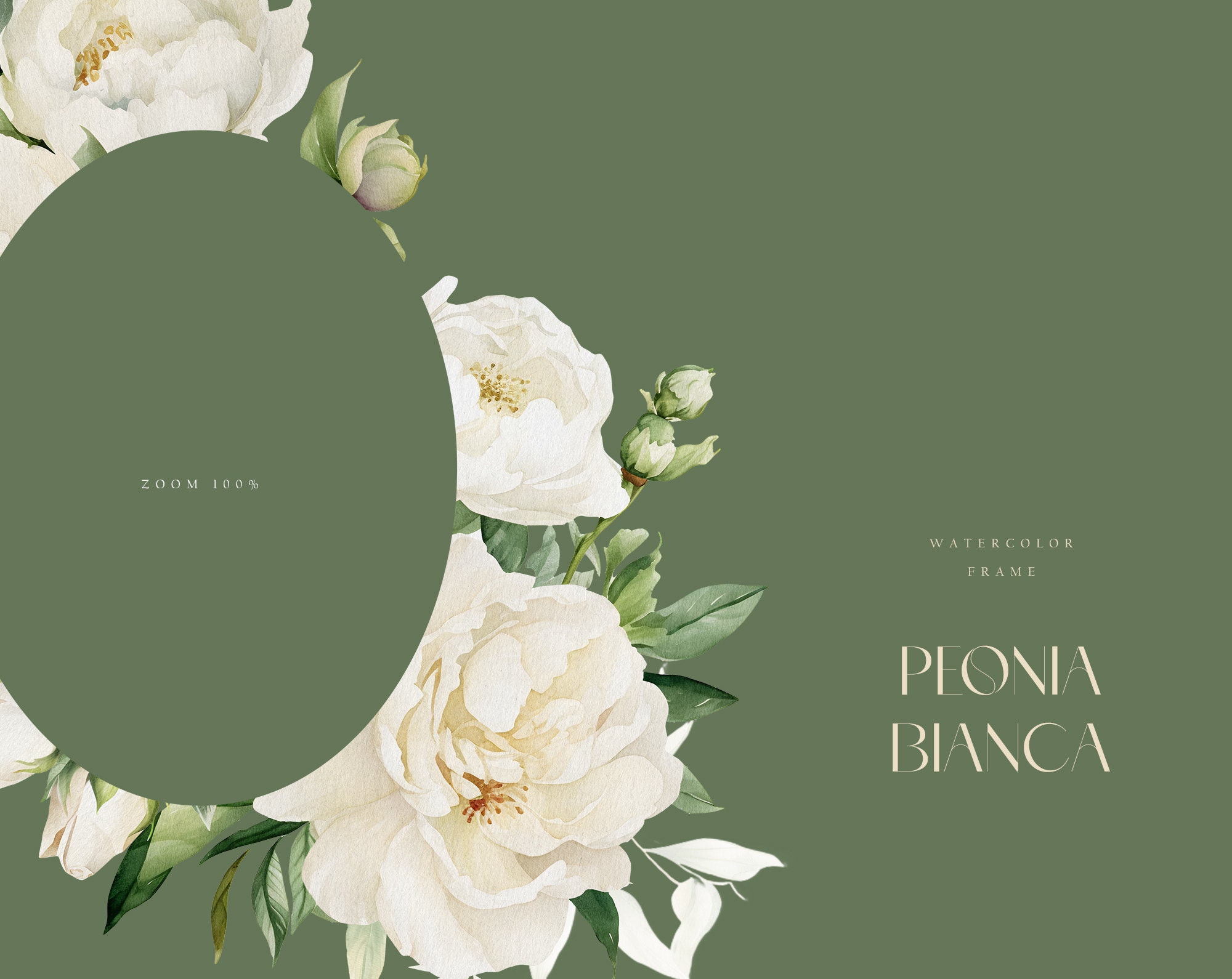 Watercolor White Peonies Clipart, Wedding White Flowers, Peonies Frame ...