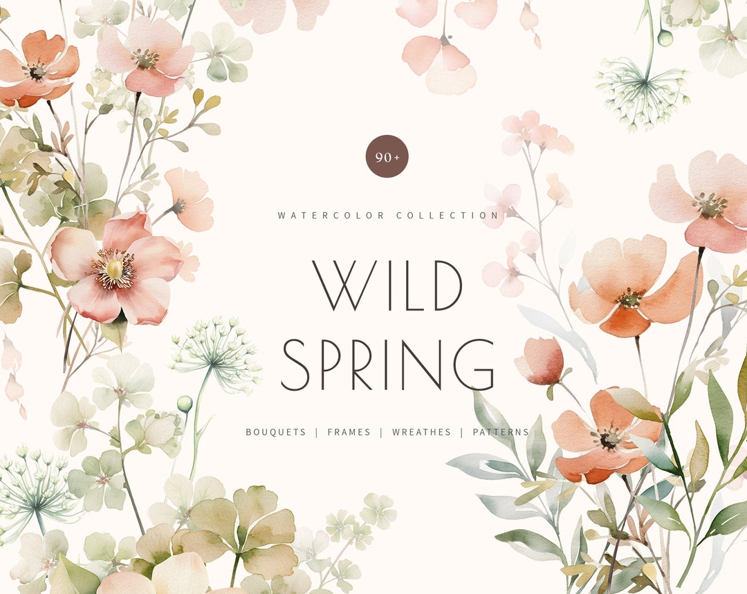 Watercolor Spring Wild Flowers Clipart, Meadow Clipart, Botanical ...
