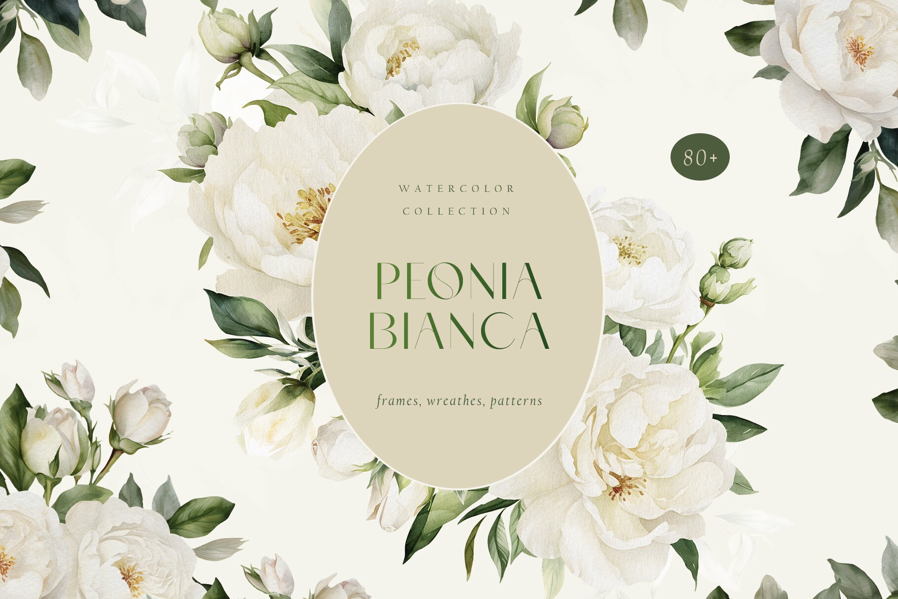 Watercolor White Peonies Clipart, Wedding White Flowers, Eucalyptus ...