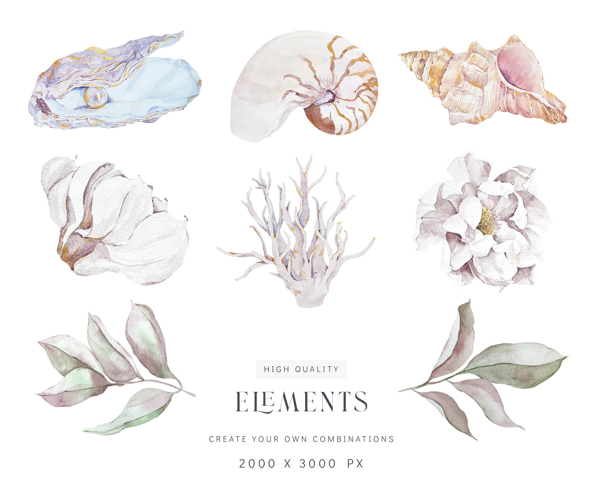 Watercolor Boho, Seashell, Sea Clipart, Nautical, Coral Reef, Seashell ...