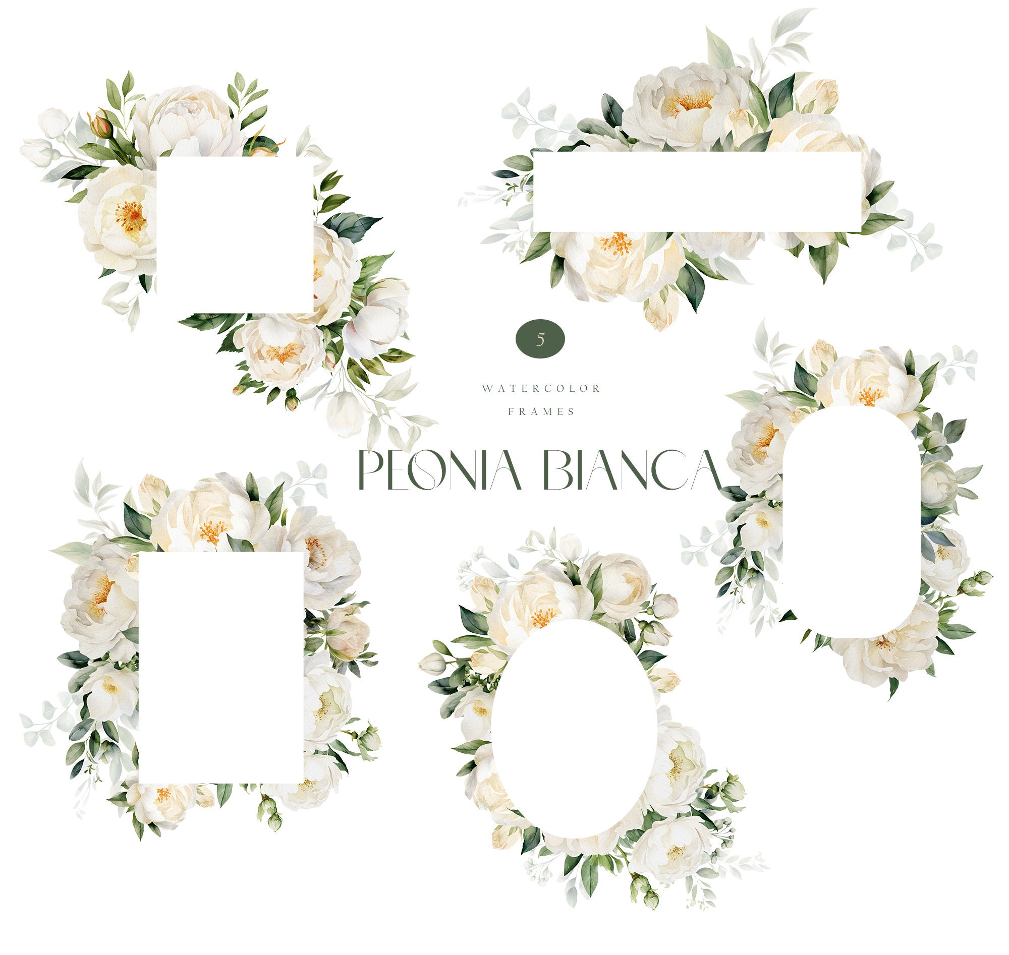 Watercolor White Peonies Clipart, Wedding White Flowers, Peonies Frame ...