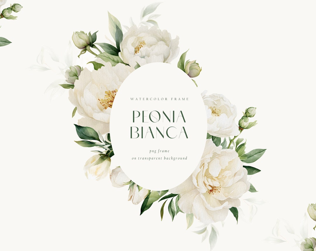 Watercolor White Peonies Clipart, Wedding White Flowers, Peonies Frame ...