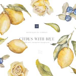 Watercolor Lemon Png Clipart, Citrus Png, Bridal Shower, Floral Bouquet ...