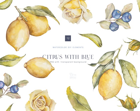 Watercolor Lemon Png Clipart Citrus Png Bridal Shower - Etsy