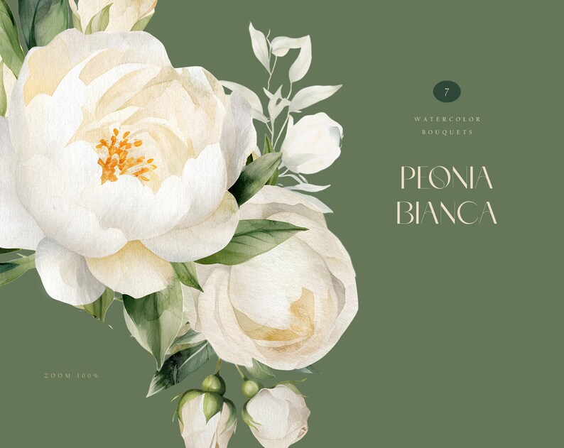 Imágenes prediseñadas de peonías blancas de acuarela, flores blancas de boda, ramo de peonías ...