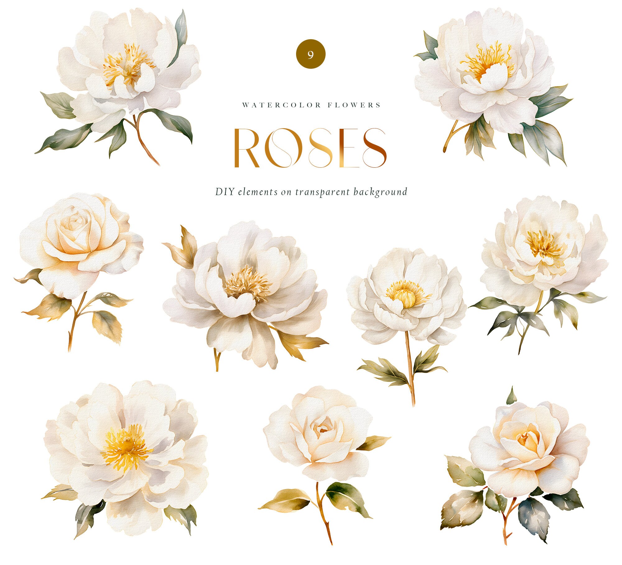 Watercolor White Peonies and Roses Png, DIY Watercolor Set, White ...