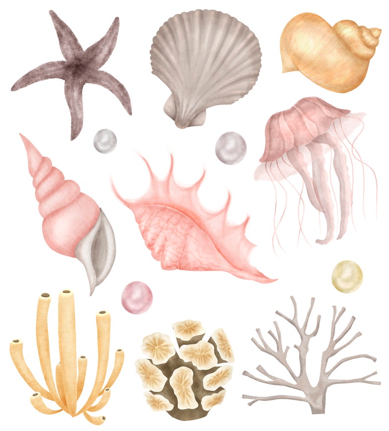 Watercolor Beach Clipart, Summer Clipart, Coral Reef Clip Art ...