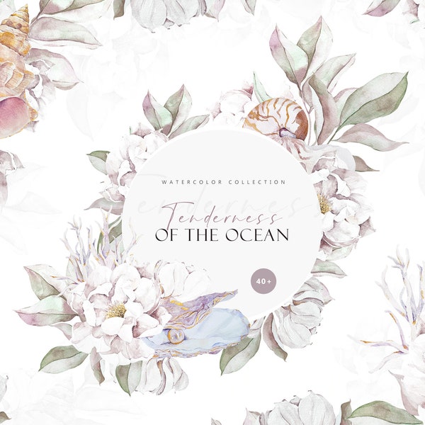 Seashell Invitations - Etsy