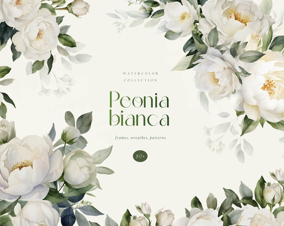 Watercolor White Peonies Clipart, Wedding White Flowers, Eucalyptus ...