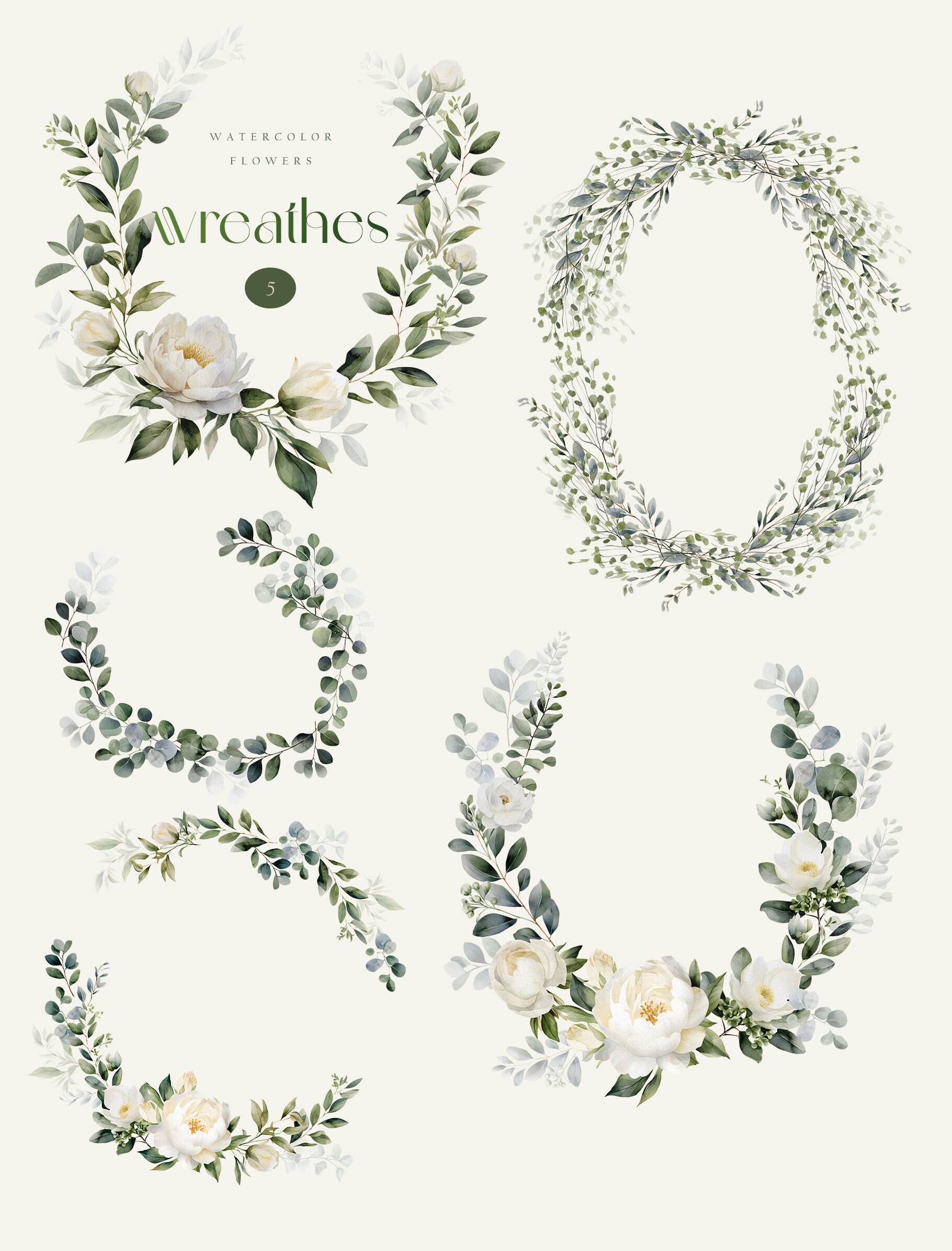Watercolor White Peonies Clipart, Wedding White Flowers, Eucalyptus ...