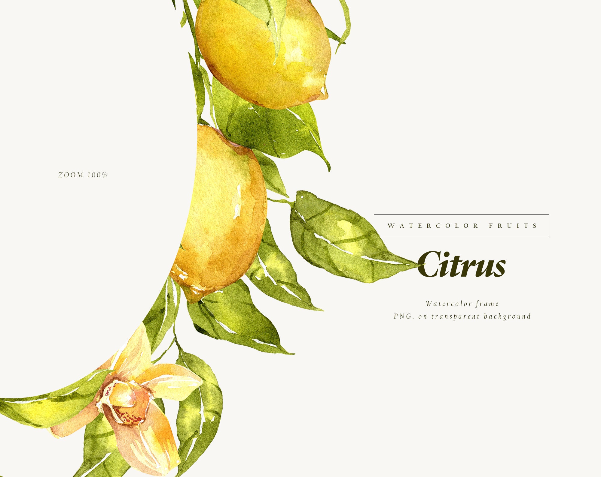 Watercolor Lemon Png Frame, Citrus Png, Bridal Shower, Lemon Frame ...