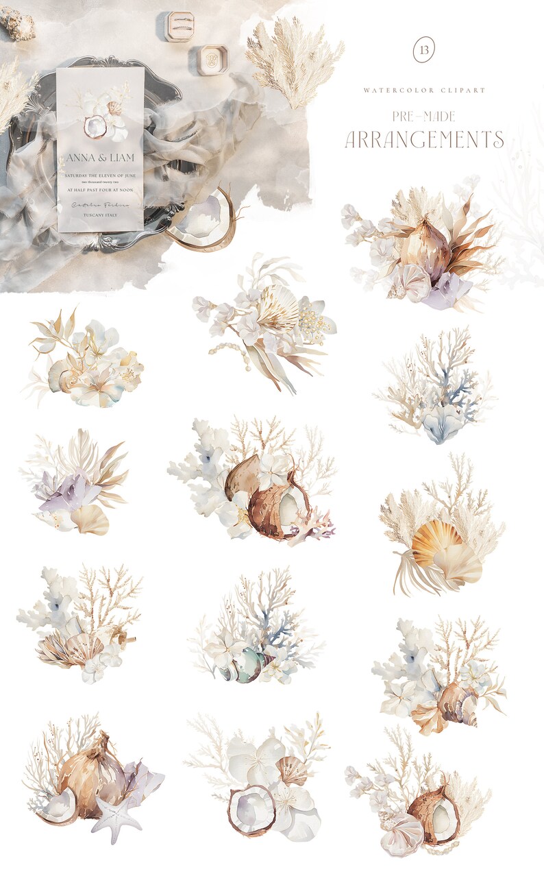 Watercolor Nautical Bohemian Clipart, PNG, Underwater Clipart, Wedding ...
